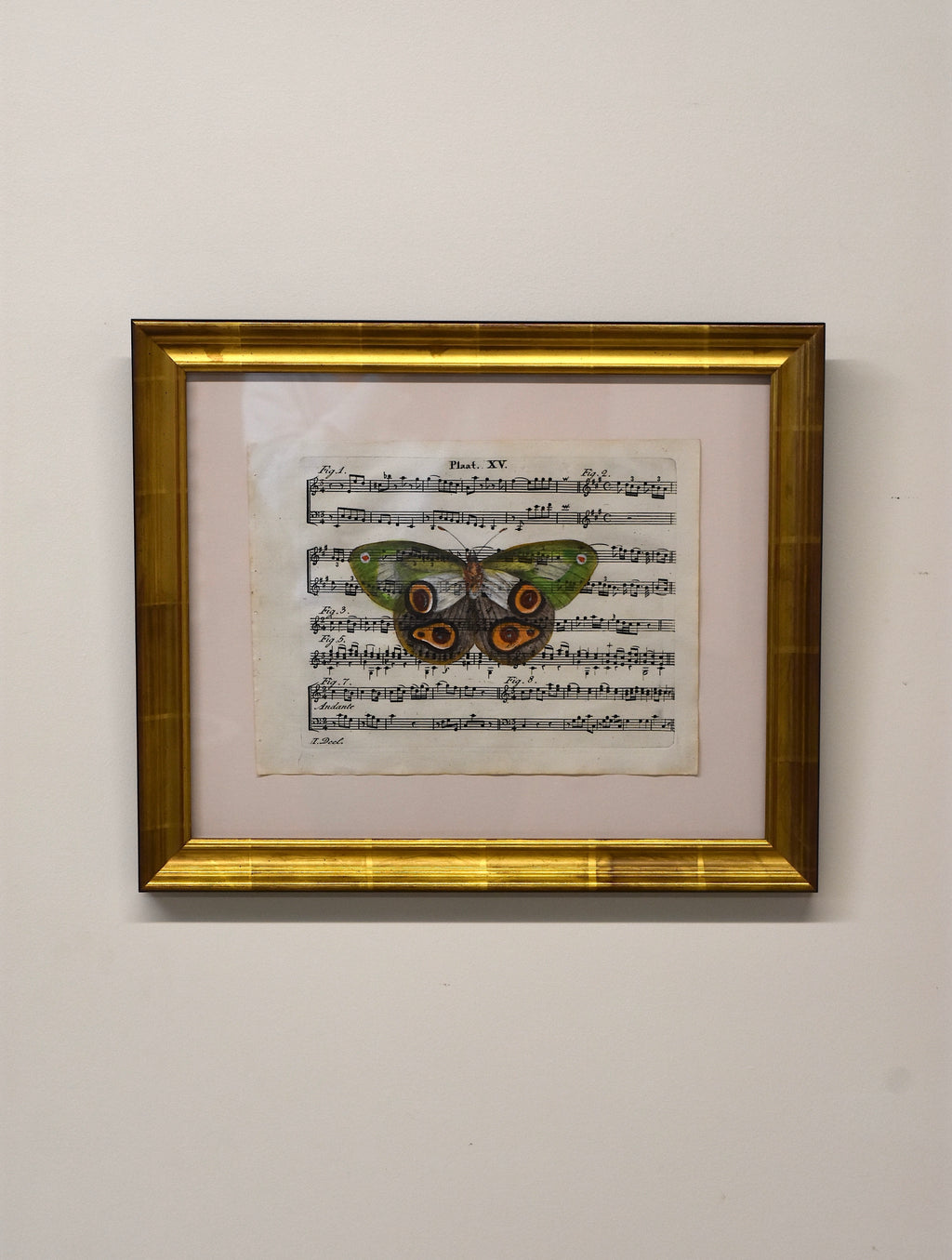 Hand Colored Butterfly No. 1 – DebbieMathews