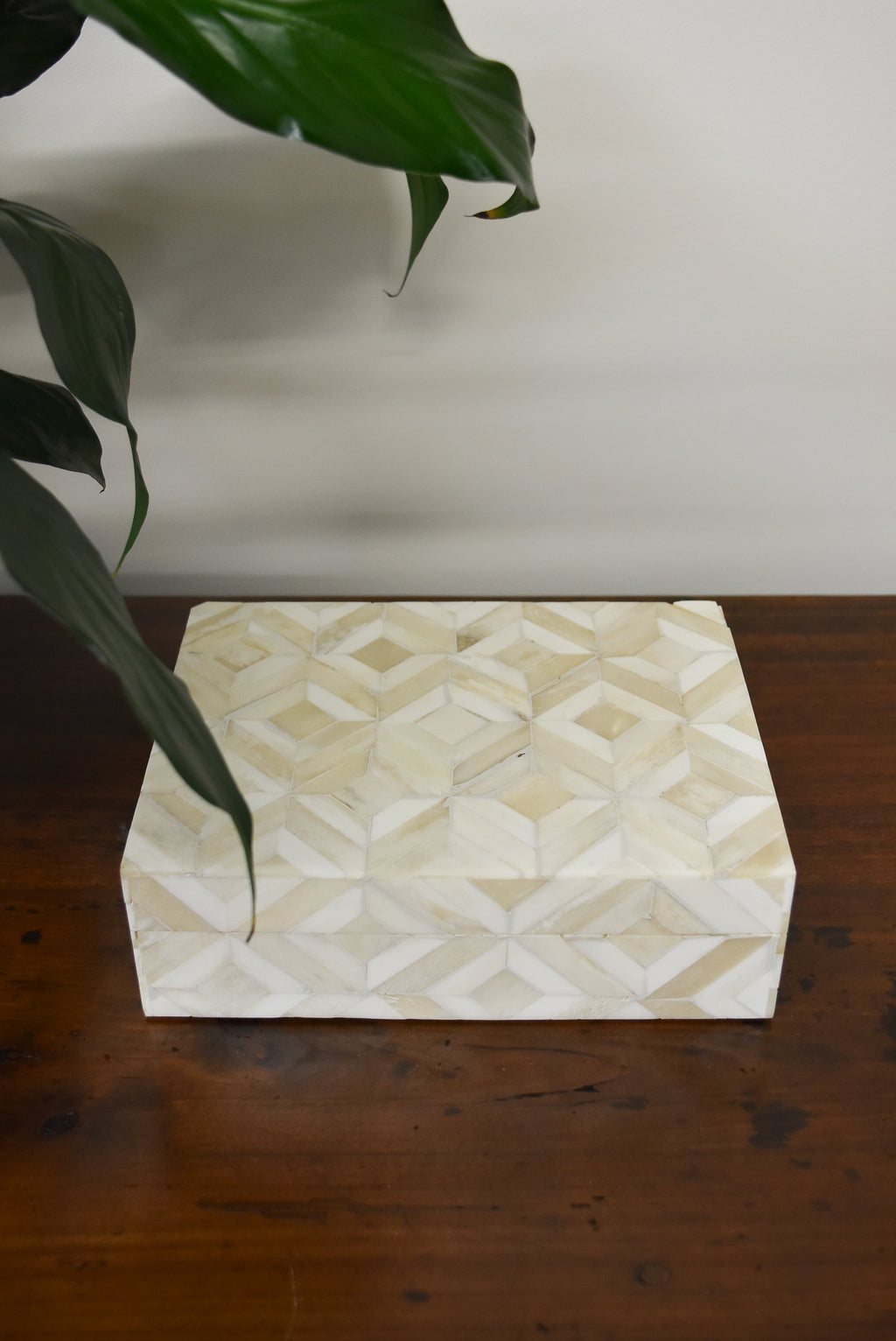 Small Geometric Bone Box – DebbieMathews